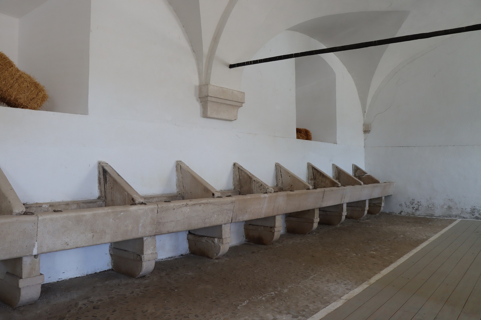 Dehesa de Sotomayor y Casa de la Monta en Aranjuez | Comunidad de Madrid